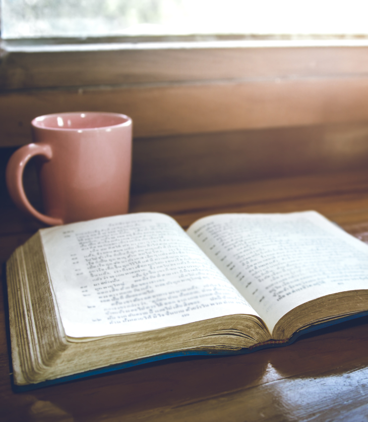 Another Day Won: Your Guide to Victorious Daily Devotions in 2024 ...